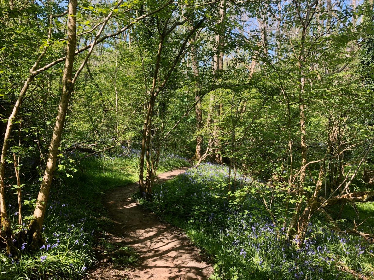 Community Gallery - TRC | London | Midlands | Edinburgh | Riyadh