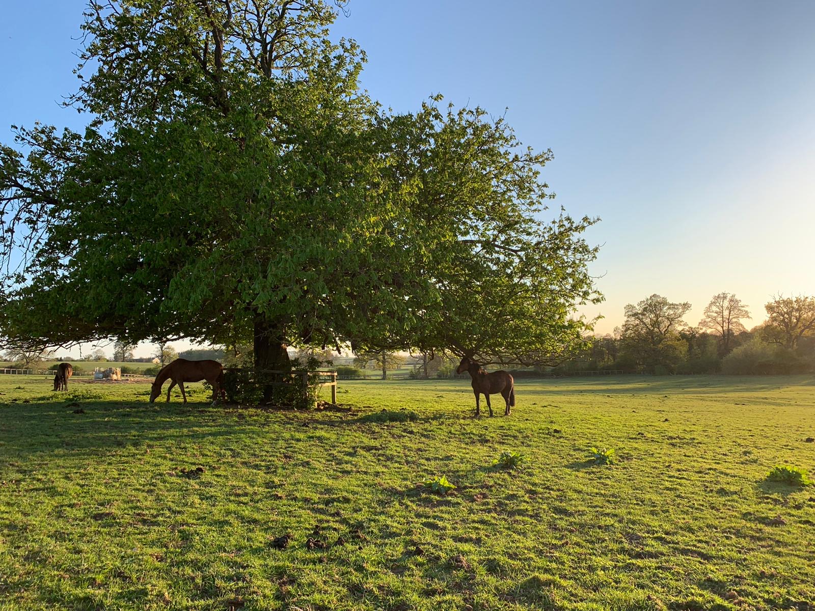 Community Gallery - TRC | London | Midlands | Edinburgh | Riyadh