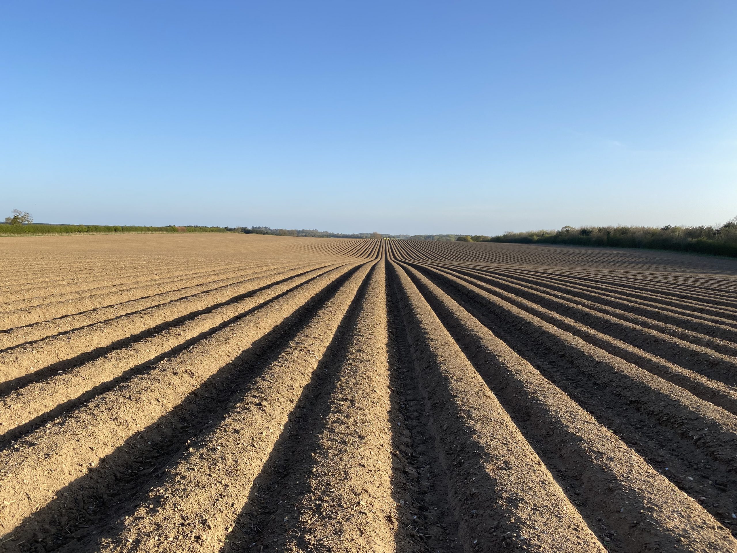 Community Gallery - TRC | London | Midlands | Edinburgh | Riyadh