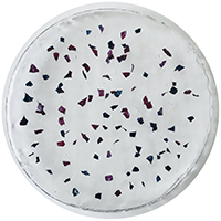 Services - TRC | London | Edinburgh | Riyadh