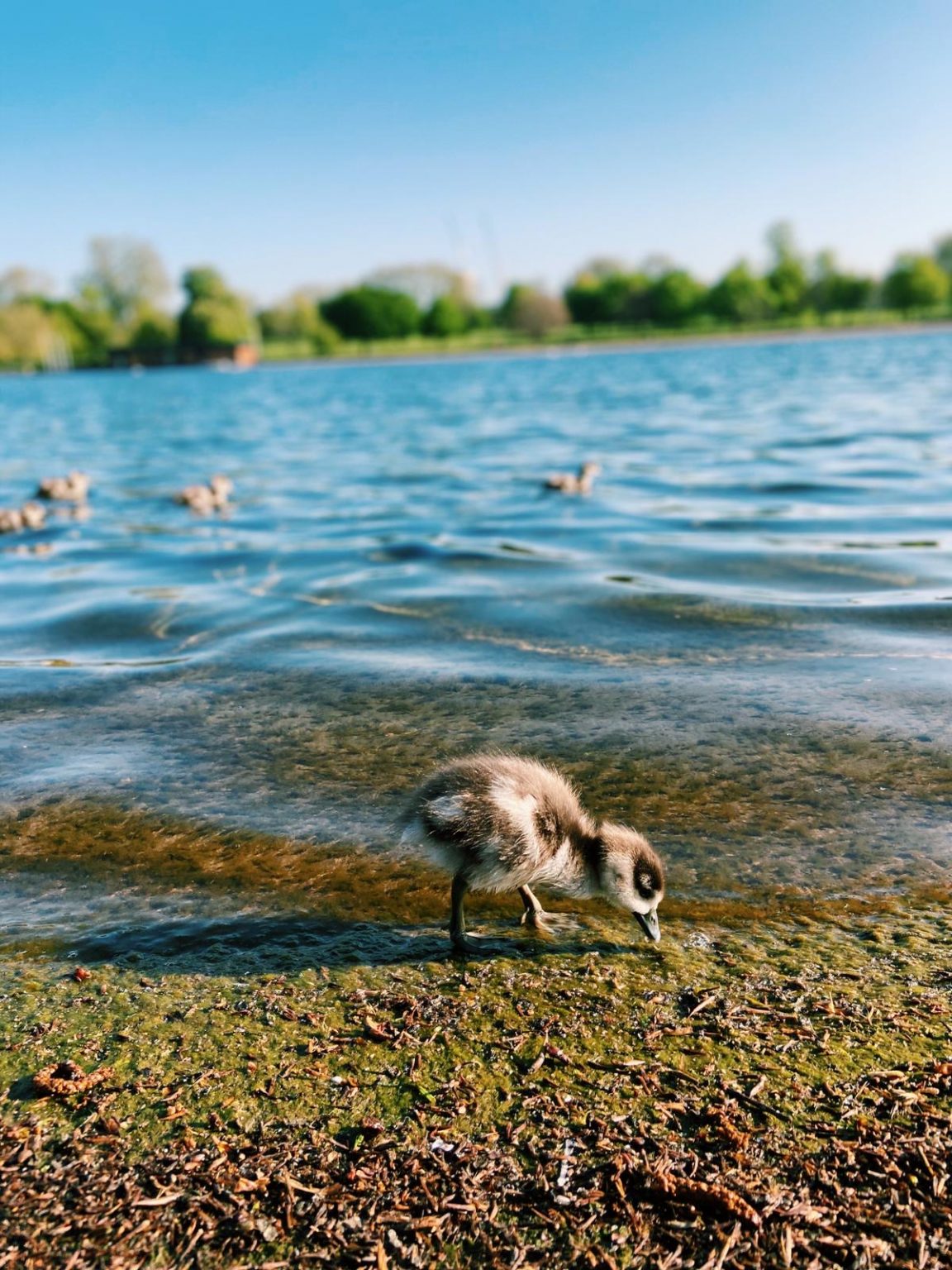 Community Gallery - TRC | London | Midlands | Edinburgh | Riyadh